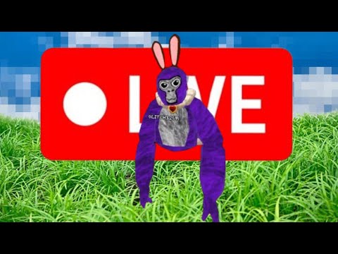 PLAYING GTAG live with fans #gorillatag #vr #gtag - YouTube