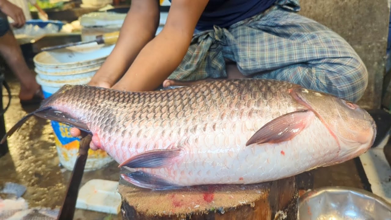 Amazing Huge Rohu Fish Cutting Skills In Bangladesh Local Fish Market ...