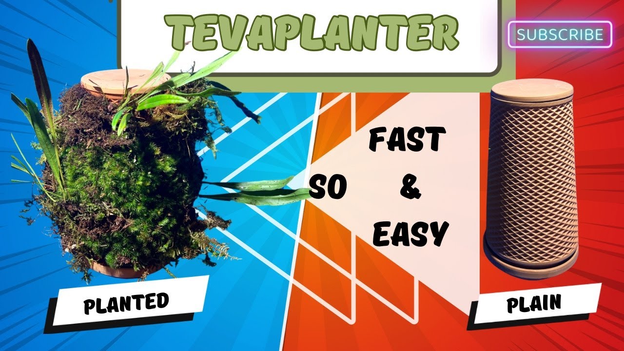 Tevaplanter-easy moss build ; Show me the Green episode 48 - YouTube