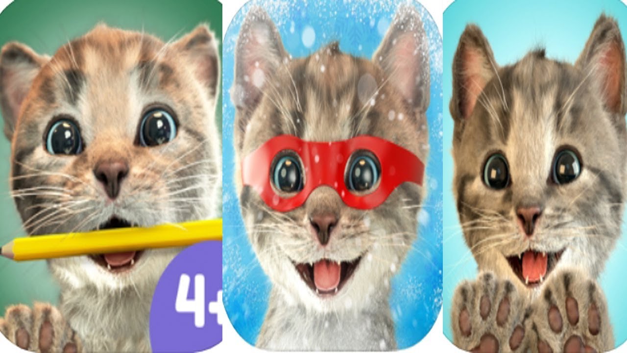 Little Kitten My Favorite cat, Little Kitten Adventures, Little Kitten ...