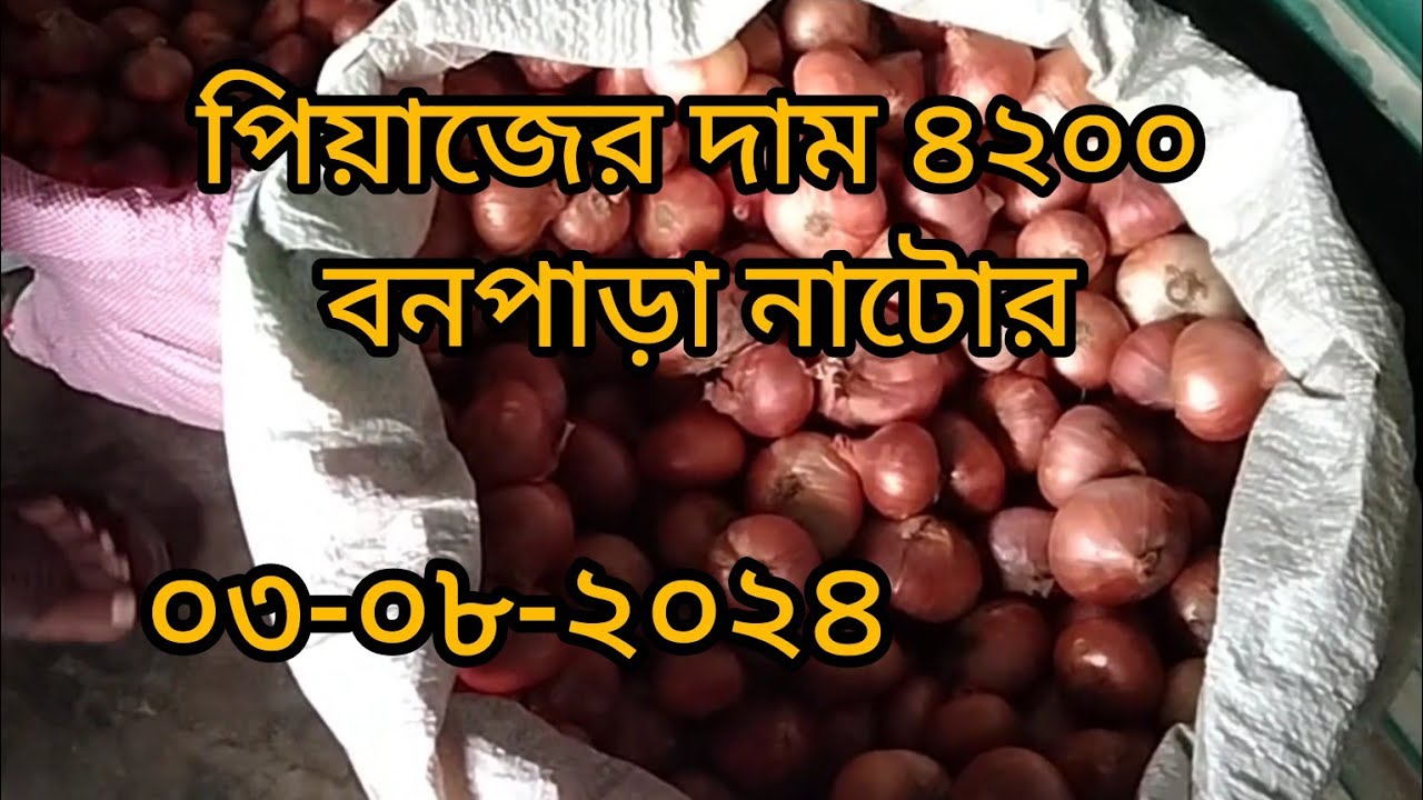 পিয়াজের বাজার ৪২০০ টাকা বনপাড়া নাটোর/onion price 4200 tk bdt natore ...