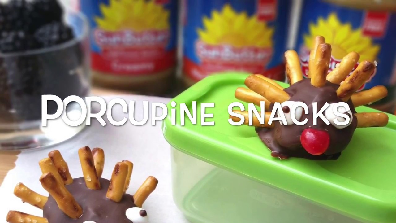 Porcupine Snacks - YouTube