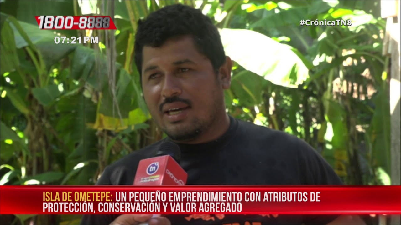 Ometepe: Emprendimiento para proteger y conservar el pez Gaspar ...