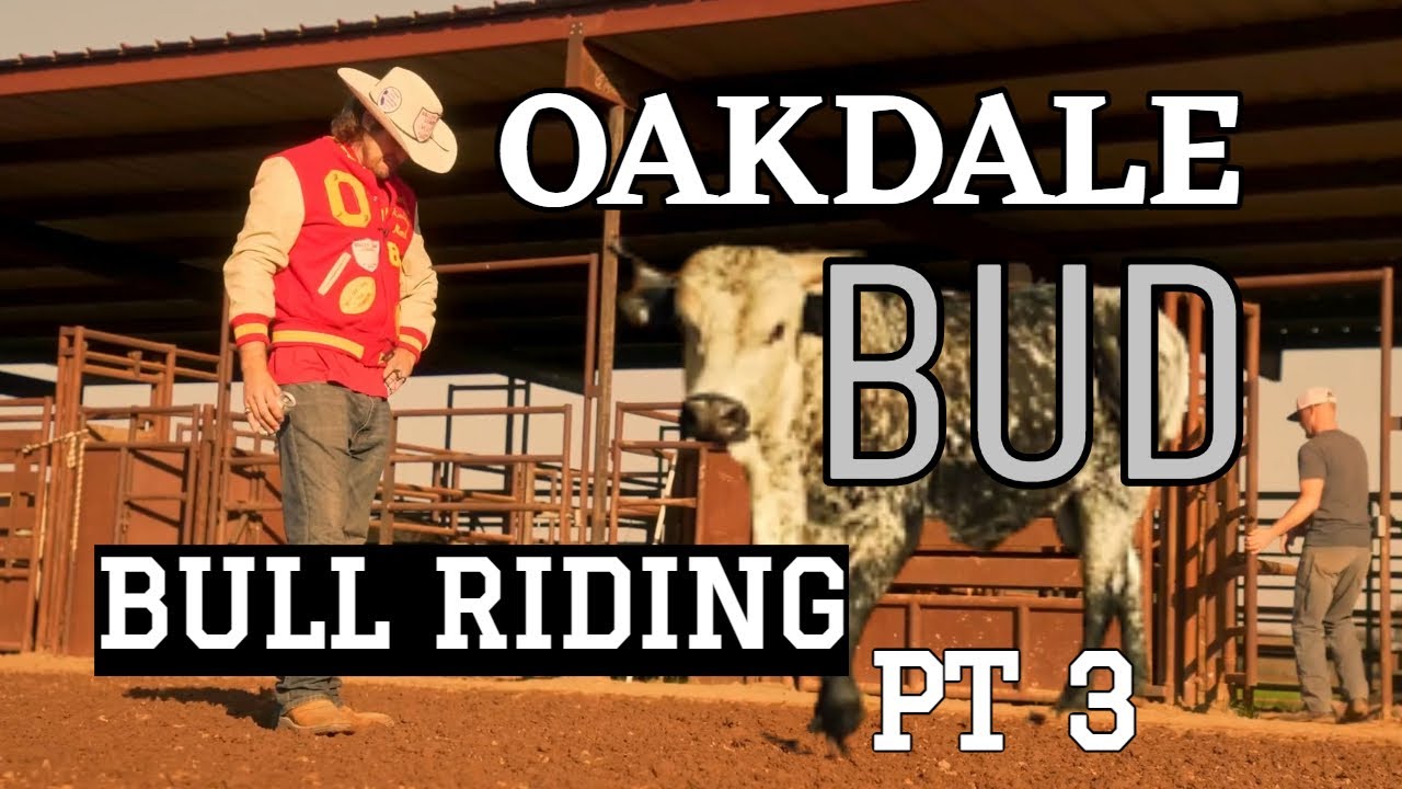 Oakdale Bud Bull Riding pt 3 - YouTube