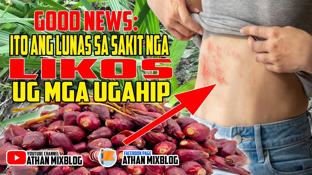 SIBUYAS MOROS HEALTH BENIFITS | PINAKAMABISANG LUNAS PARA SA SAKIT NGA ...