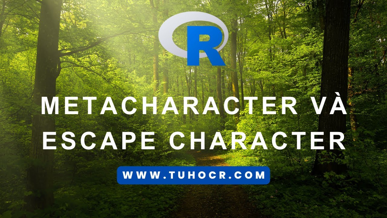 METACHARACTER VÀ ESCAPE CHARACTER | HDSD R CƠ BẢN - YouTube