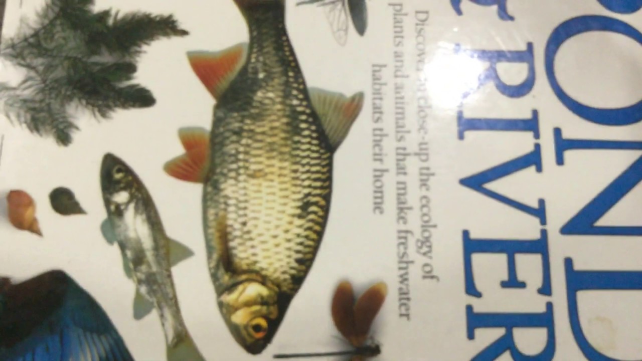 How to Read VHS Print dates ? - YouTube