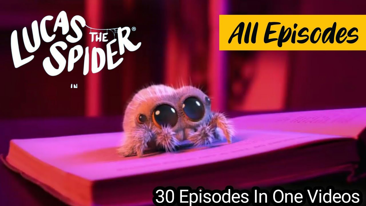 Lucas The Spider All Episodes In One Videos. 30 Episodes In One Videos ...