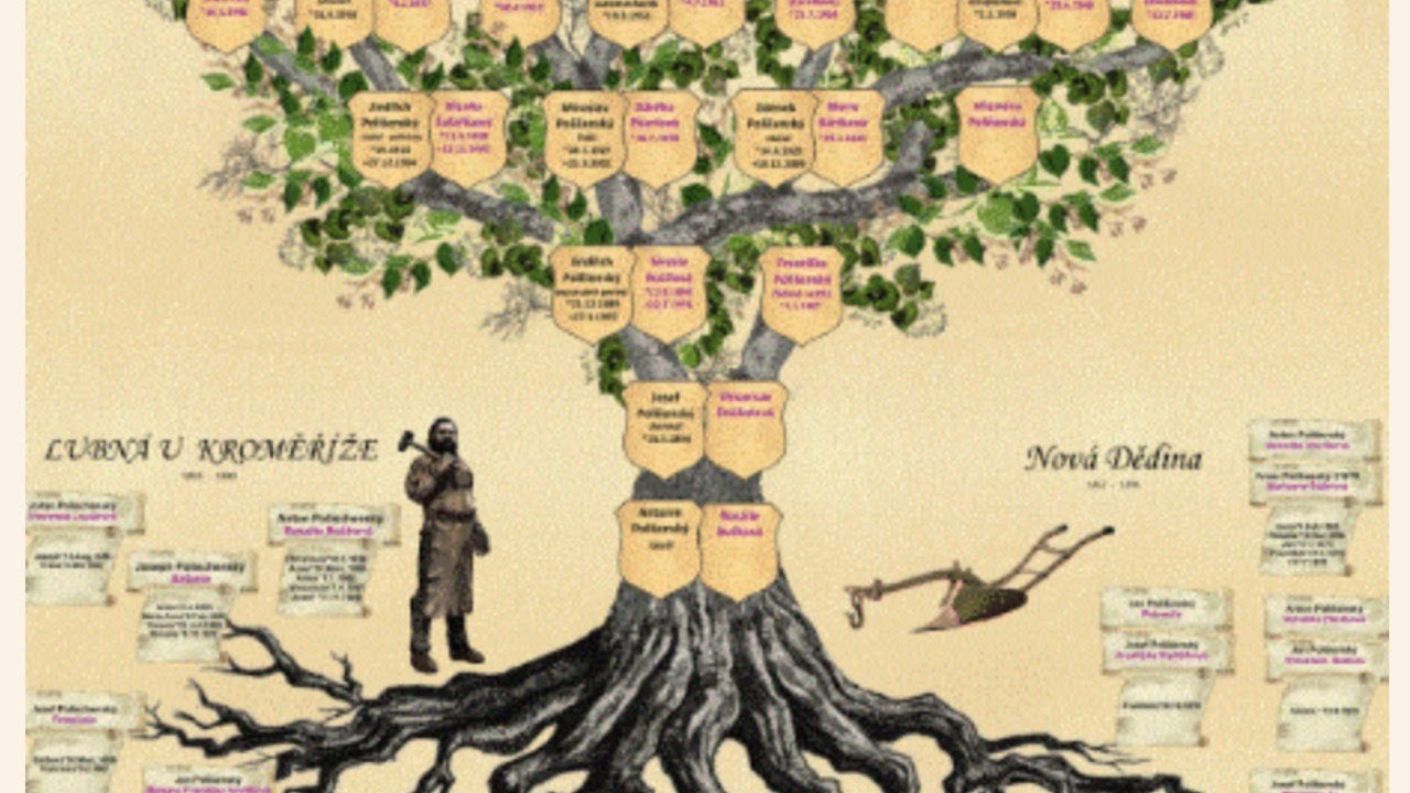 Jak sestavit rodokmen-webinář - YouTube