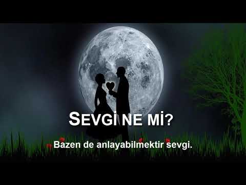 Sevgi Ne mi?
