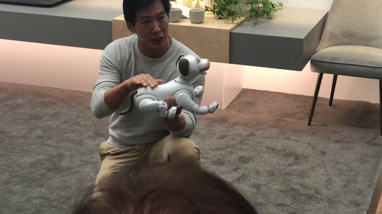 Sony Aibo 2018 - YouTube