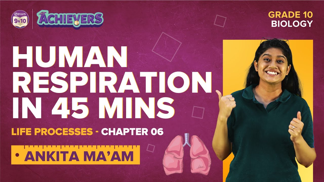 Respiration - Life Processes Class 10 Science (Biology) CBSE Concepts ...