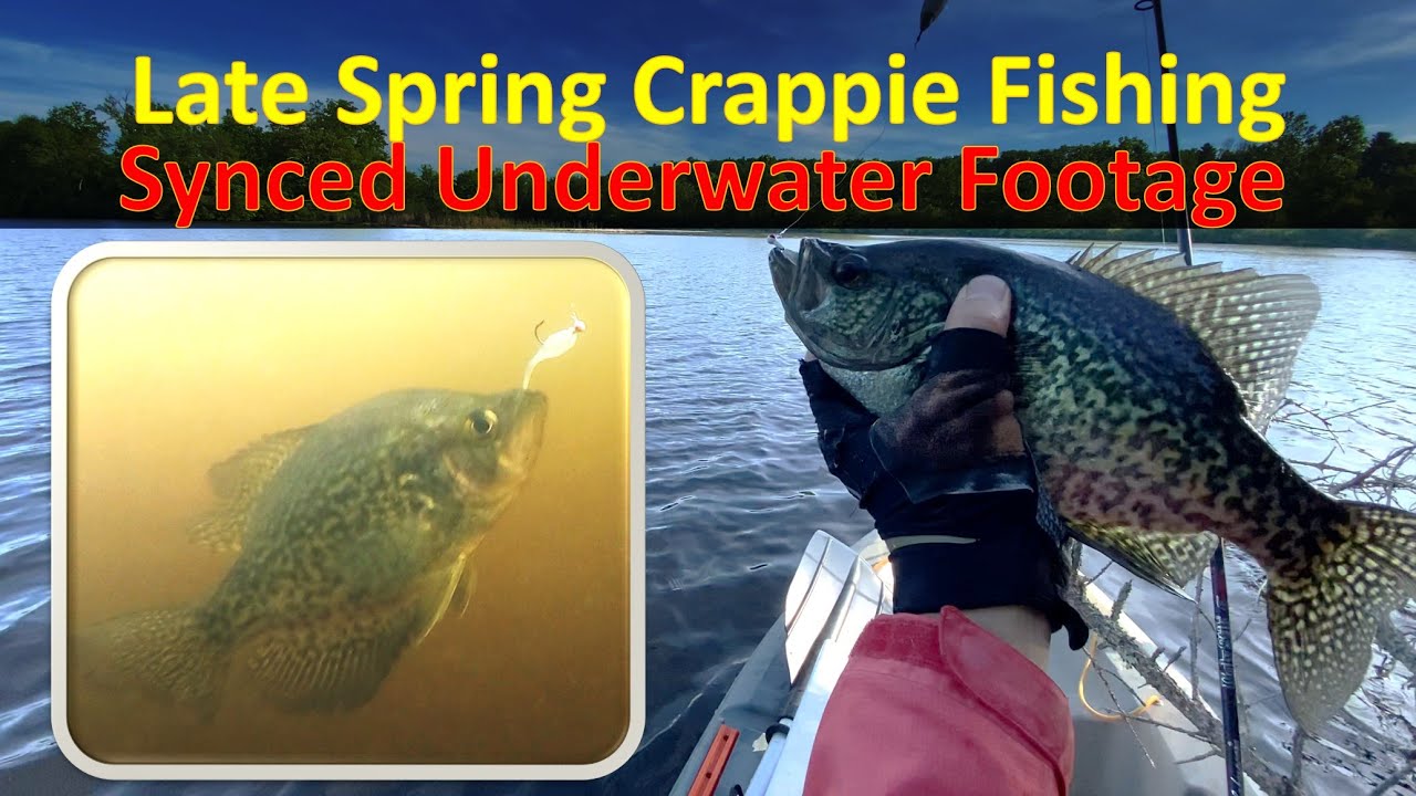 Underwater: See HOW Late Spring Crappies Bite Jigs! (12 fish in 9 min ...