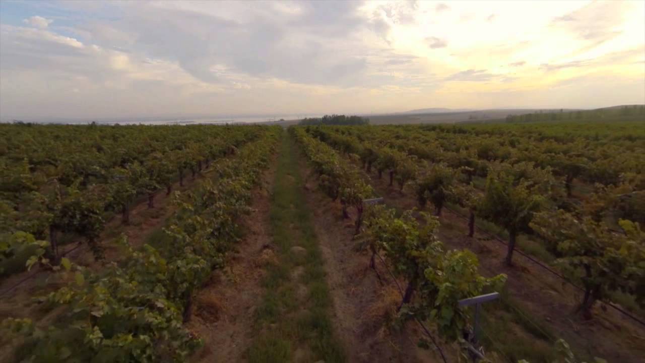 Aerials Columbia Crest Winery - YouTube