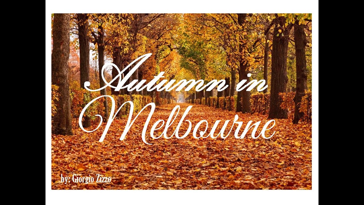 Autumn in Melbourne - Instrumental - Played by; Giorgio Zizzo - YouTube