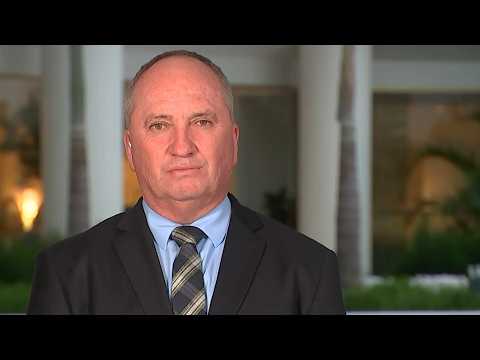 Barnaby Joyce insists Labor not the Liberals is One Nation's real opponent