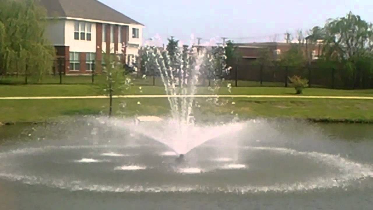 Aqua Control Lily - YouTube