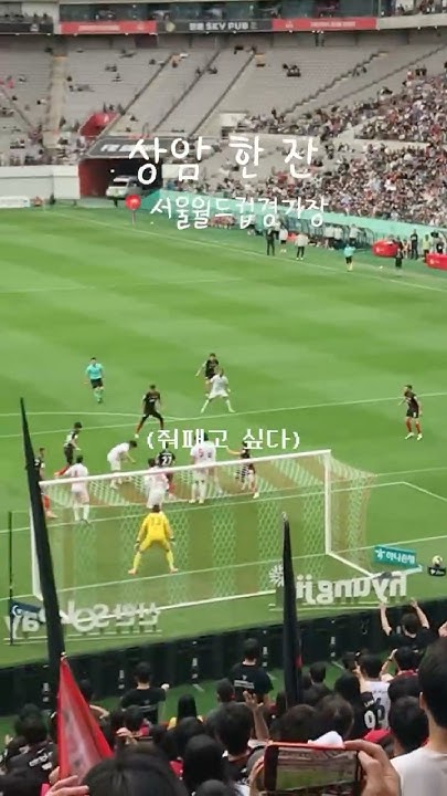 15R fc서울 vs 수원fc #서울월드컵경기장 #k리그 #축구직관 #vlog - YouTube