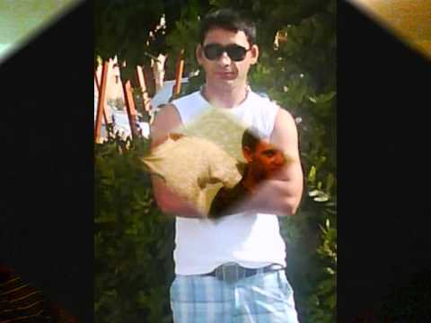 orxan  bas-bas-basiver.orhan murat.//