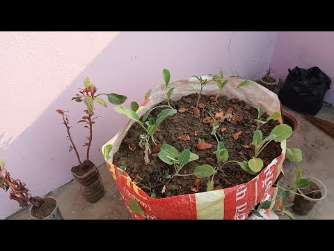 Anuj mishra vlogs is live - YouTube
