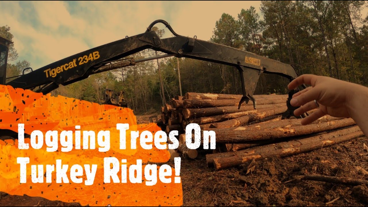 Logging Trees On Turkey Ridge! - YouTube