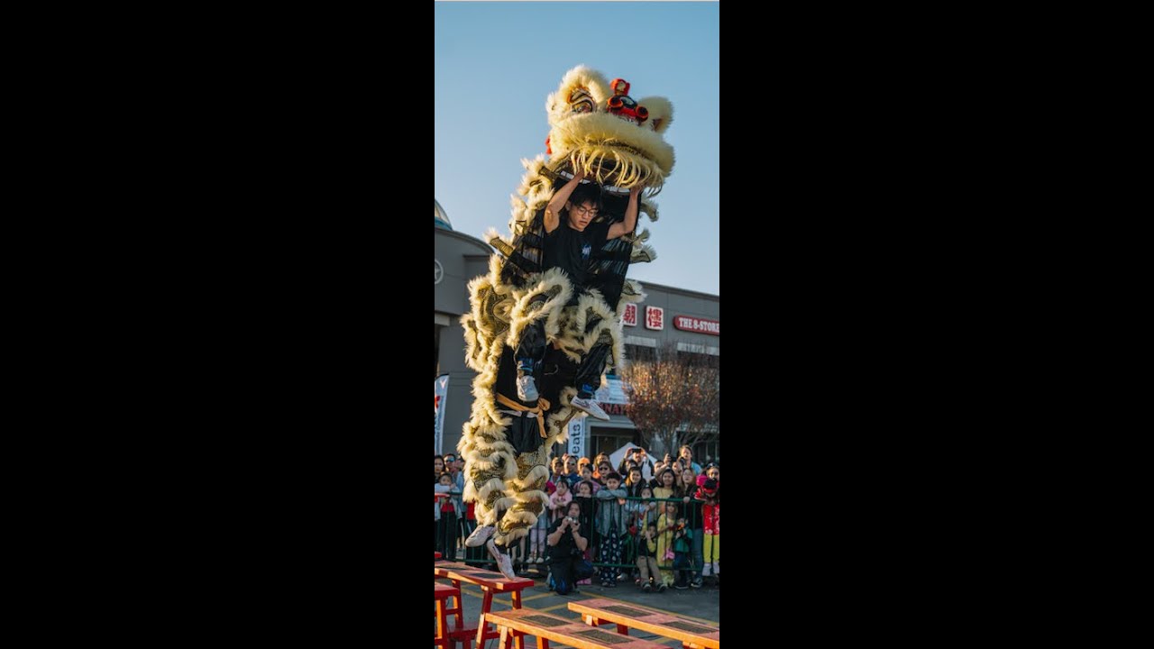 HV Lion Dance - Drum Show & Bench Routine - Viet Hoa - YouTube