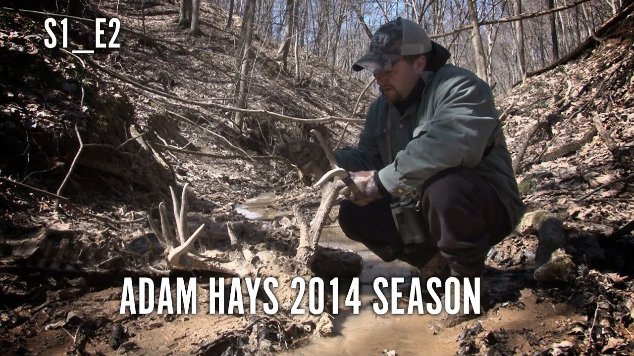 Adam Hays 2014 Season - YouTube