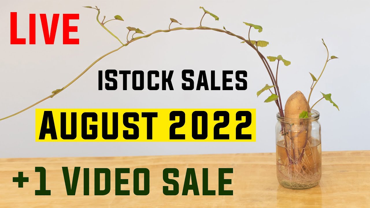 Istock sales for August 2022 - The poorest month in 2022. LIVE - YouTube