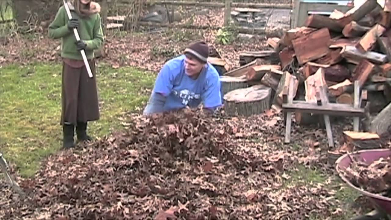Leaf Stacking - YouTube