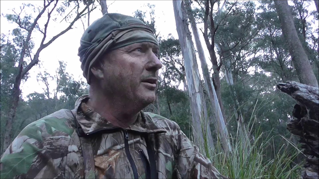 Wild Dog days - YouTube