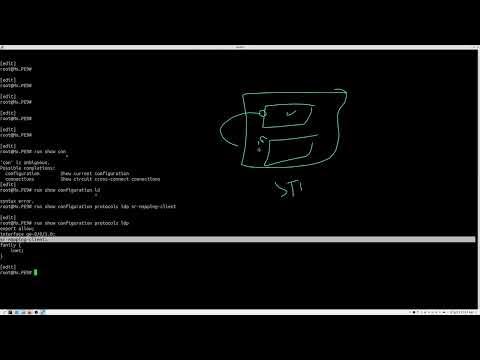 Segment Routing MPLS Interworking with LDP - YouTube