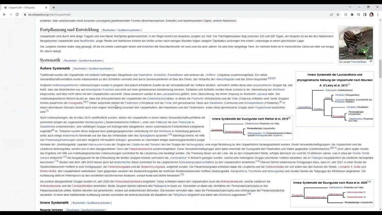 Wikipedia-Artikel des Tages - YouTube Wikipedia-Artikel des Tages - YouTube
