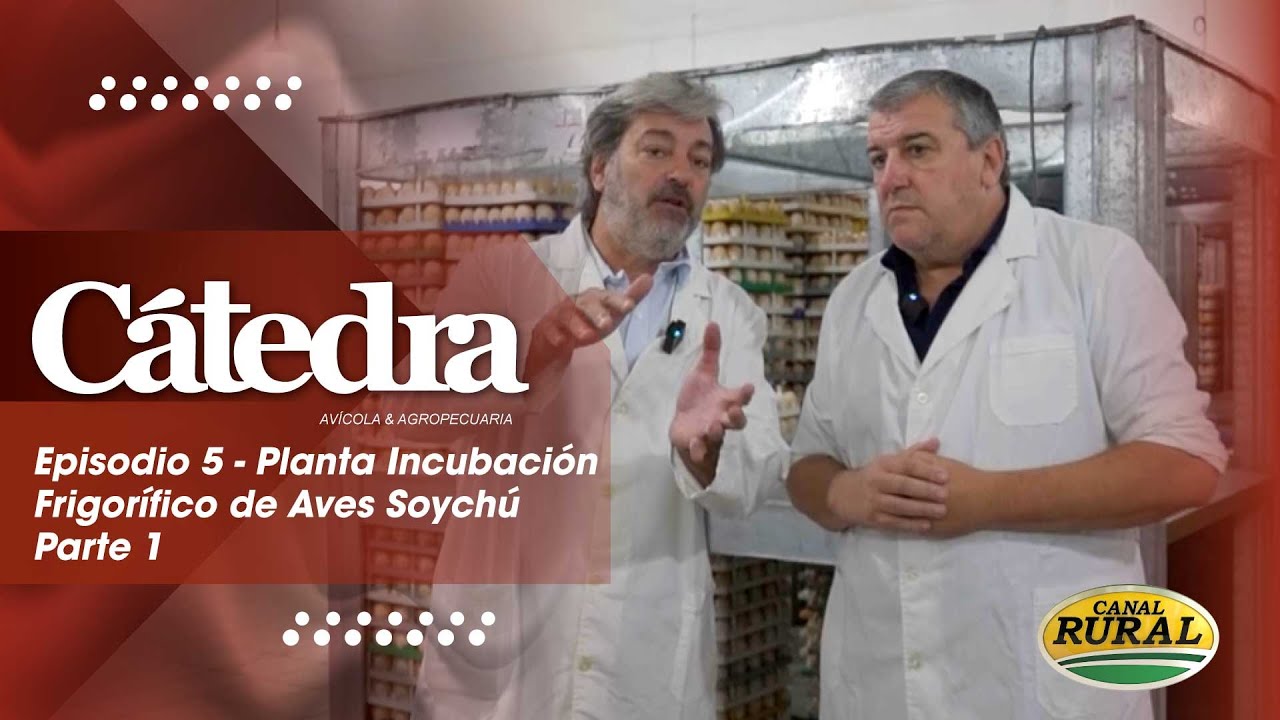 Cátedra Avícola - Episodio 5 - Visitamos la planta de incubación de ...
