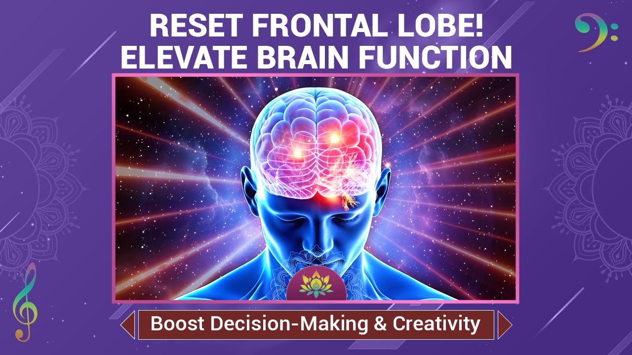 Reset Frontal Lobe, Elevate Brain Function - Boost Decision-Making ...