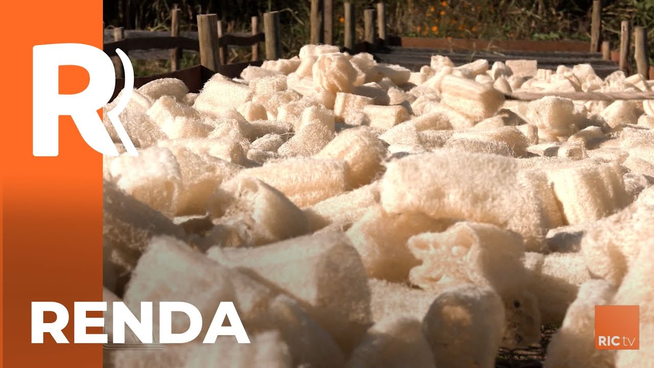 Bucha vegetal com boa renda - YouTube