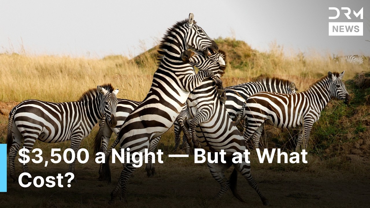 $3,500 a Night — But at What Cost? Conservationists Fight to Stop Ritz ...