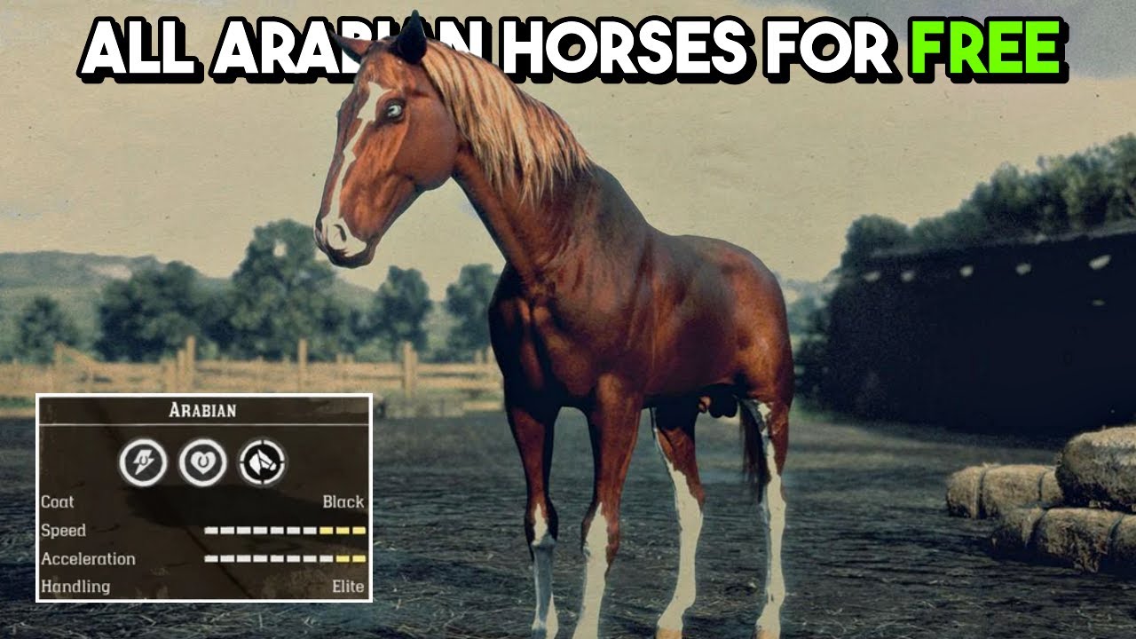 All 5 SECRET Arabian Horses Location for FREE in Red Dead Redemption 2 ...