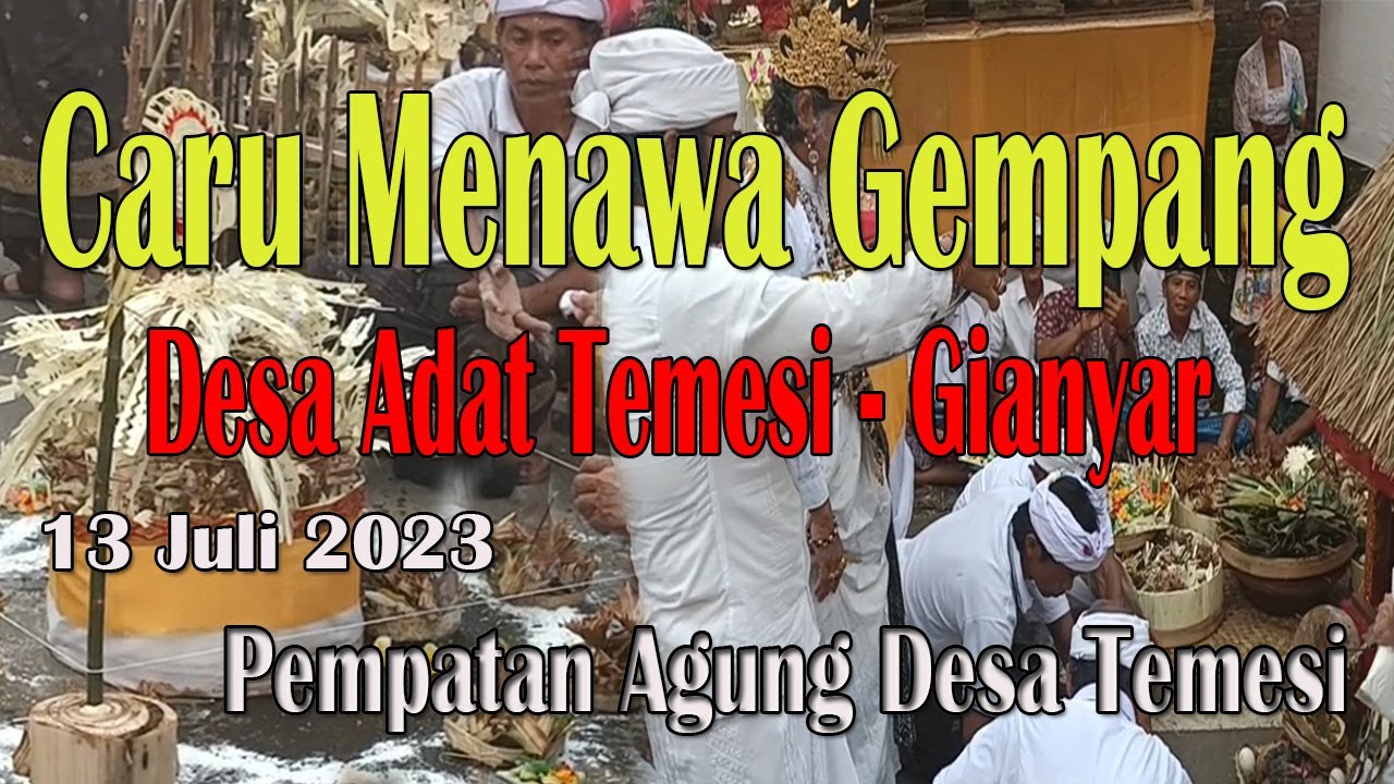 Mecaru Menawa Gempang | Desa Adat Temesi Gianyar | 13 Juli 2023 - YouTube