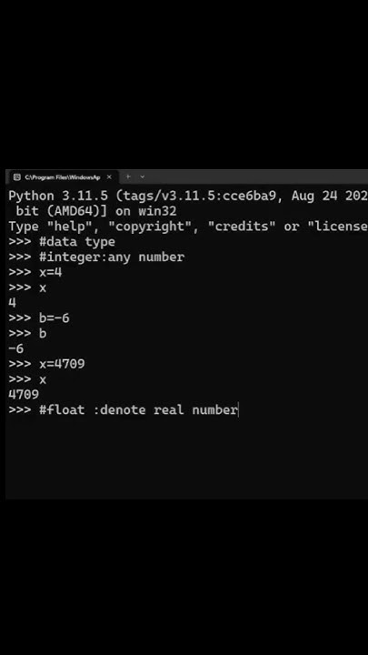 chapter2 "Python 3 Integer Mastery: From Basics to Advanced Techniques" - YouTube