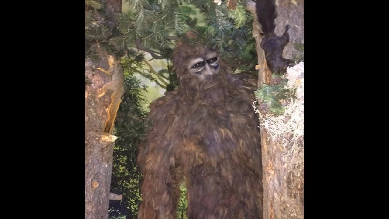 The Sasquatch Outpost In Bailey, Colorado Good Fun For Everyone - YouTube