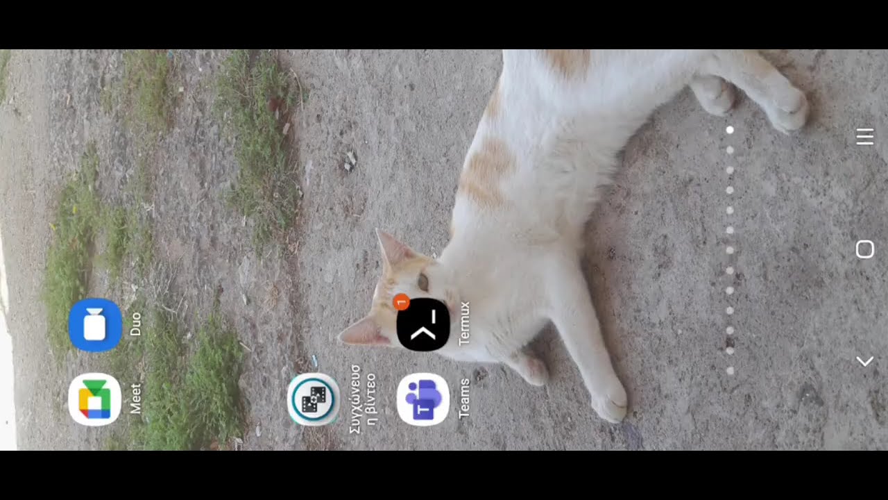 Firefox Tab Crashed error Fixed | Kali Linux - YouTube