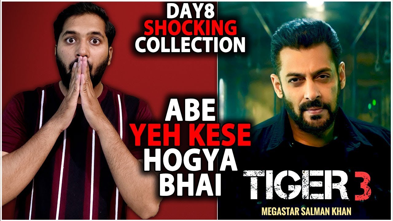 Tiger 3 Day 8 Total Worldwide Box Office Collection | Tiger 3 Box ...