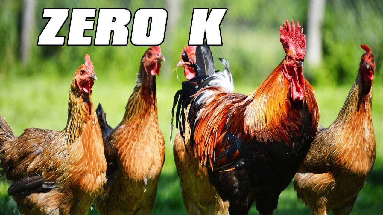 Zero-K Gameplay - ATTACK OF THE CHICKENS - YouTube