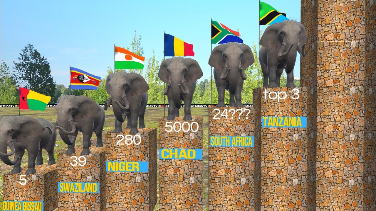 AFRICAN Elephant 🐘 Population By Country Wise 2024 |3D - YouTube