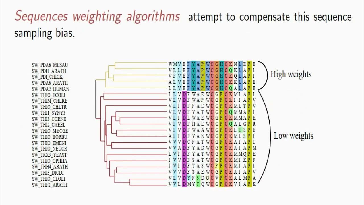 Genome Analysis Pipeline with Sequences Weighting Algorithms - YouTube