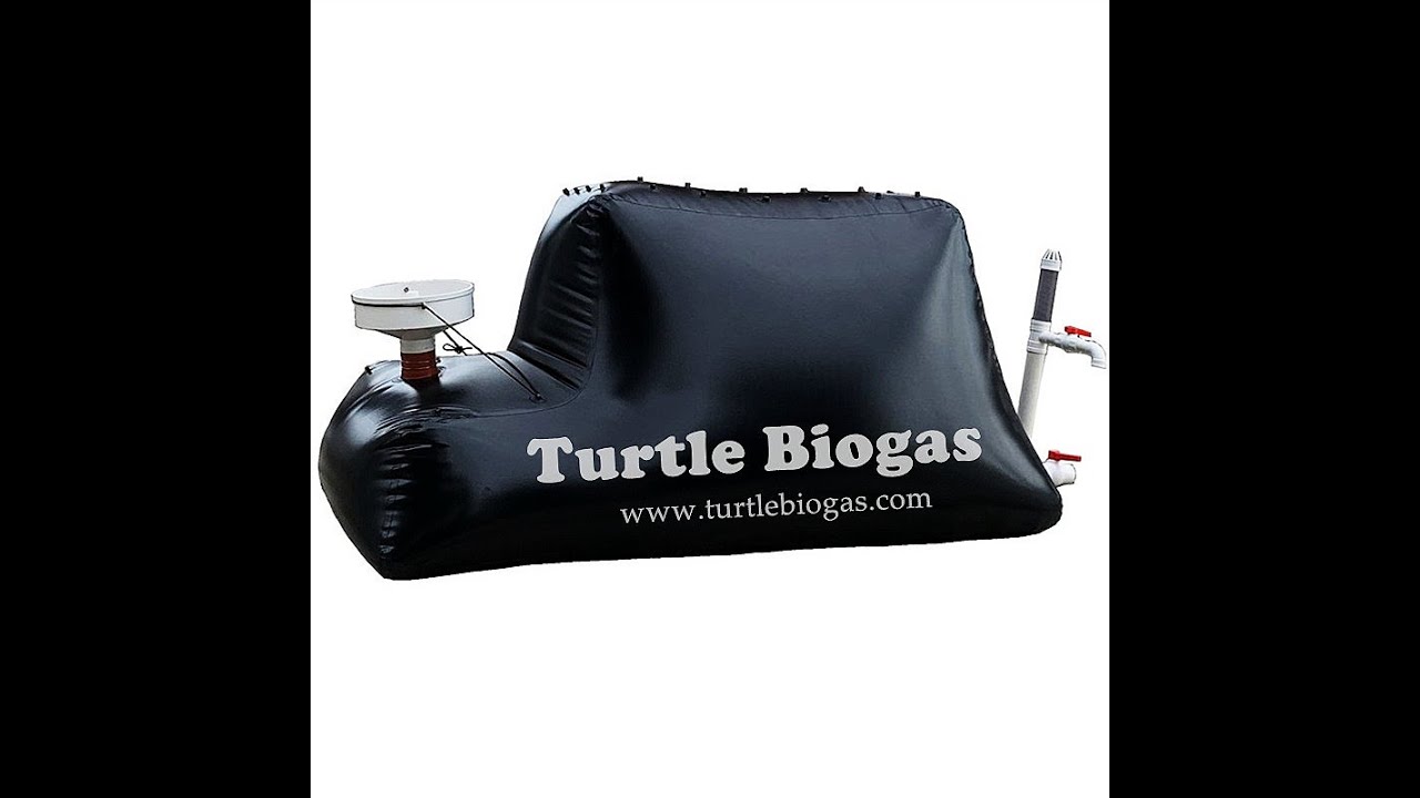 turtle biogas 3.0 - YouTube
