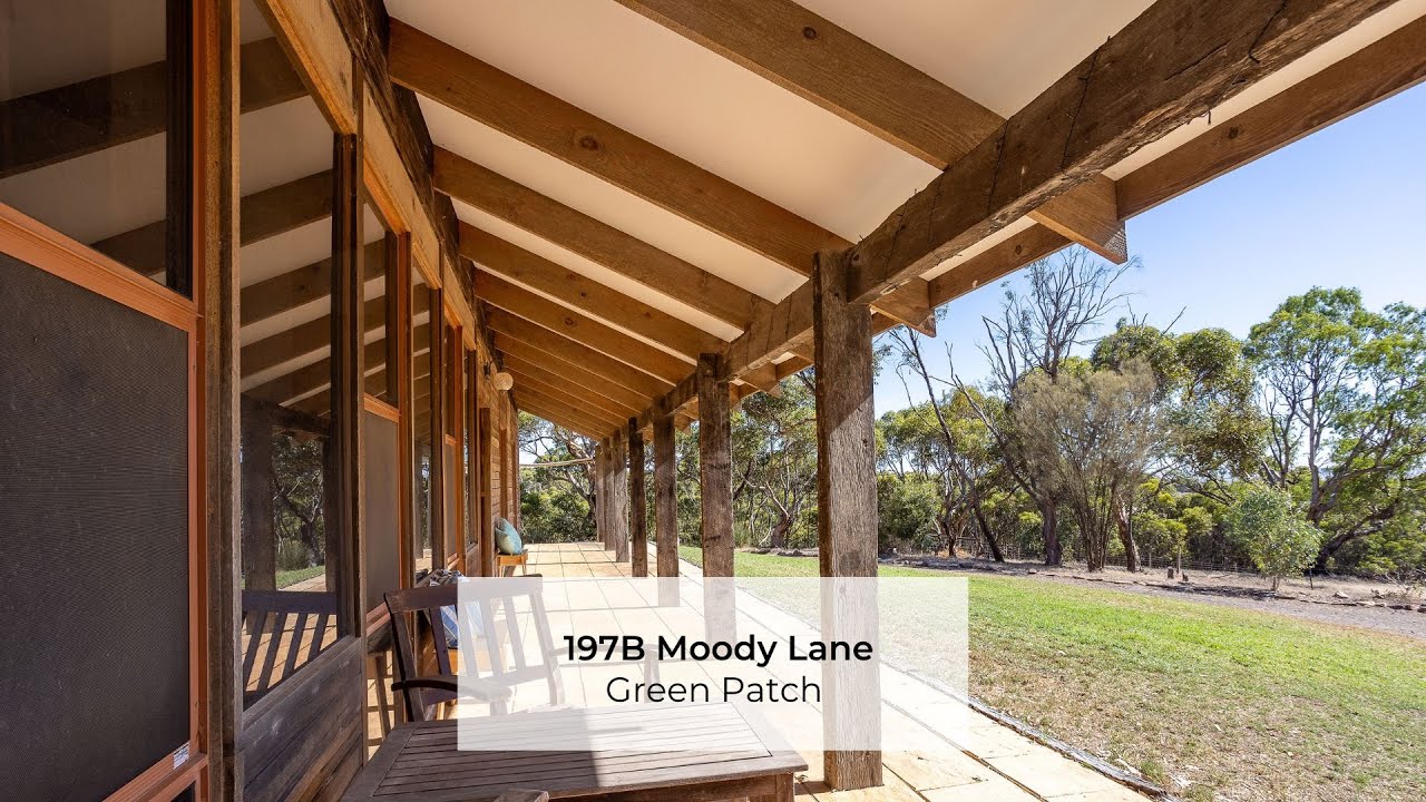 197B Moody Lane Green Patch Walk Through - YouTube