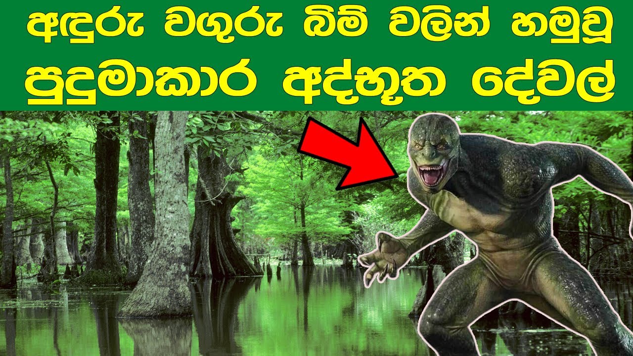 අඳුරු වගුරු බිම් වලින් හමු වූ බිහිසුණු අද්භූත දේවල් | Terrifying Things ...
