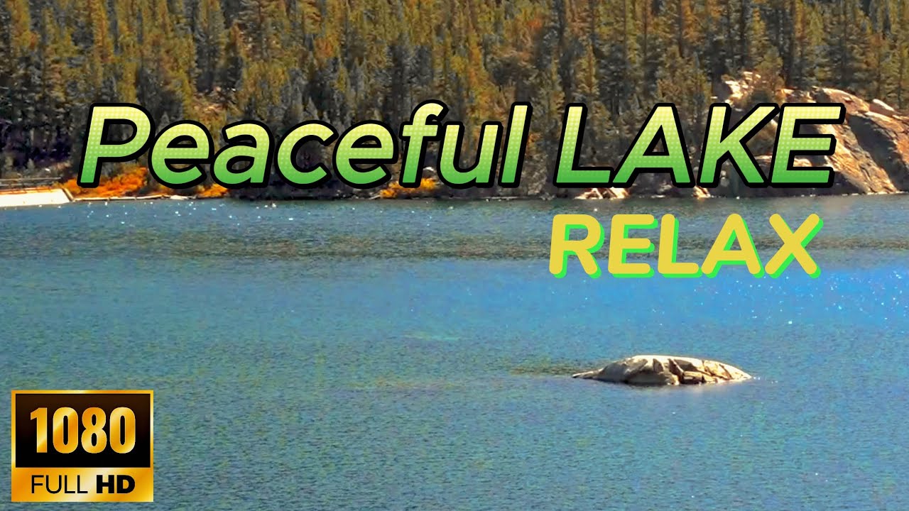 Peaceful Lake | Chilling Background Sound for Sound Sleep and RELAX ...