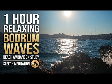 Bodrum Rocky Coast: Crashing Waves & Sea Spray Sounds 